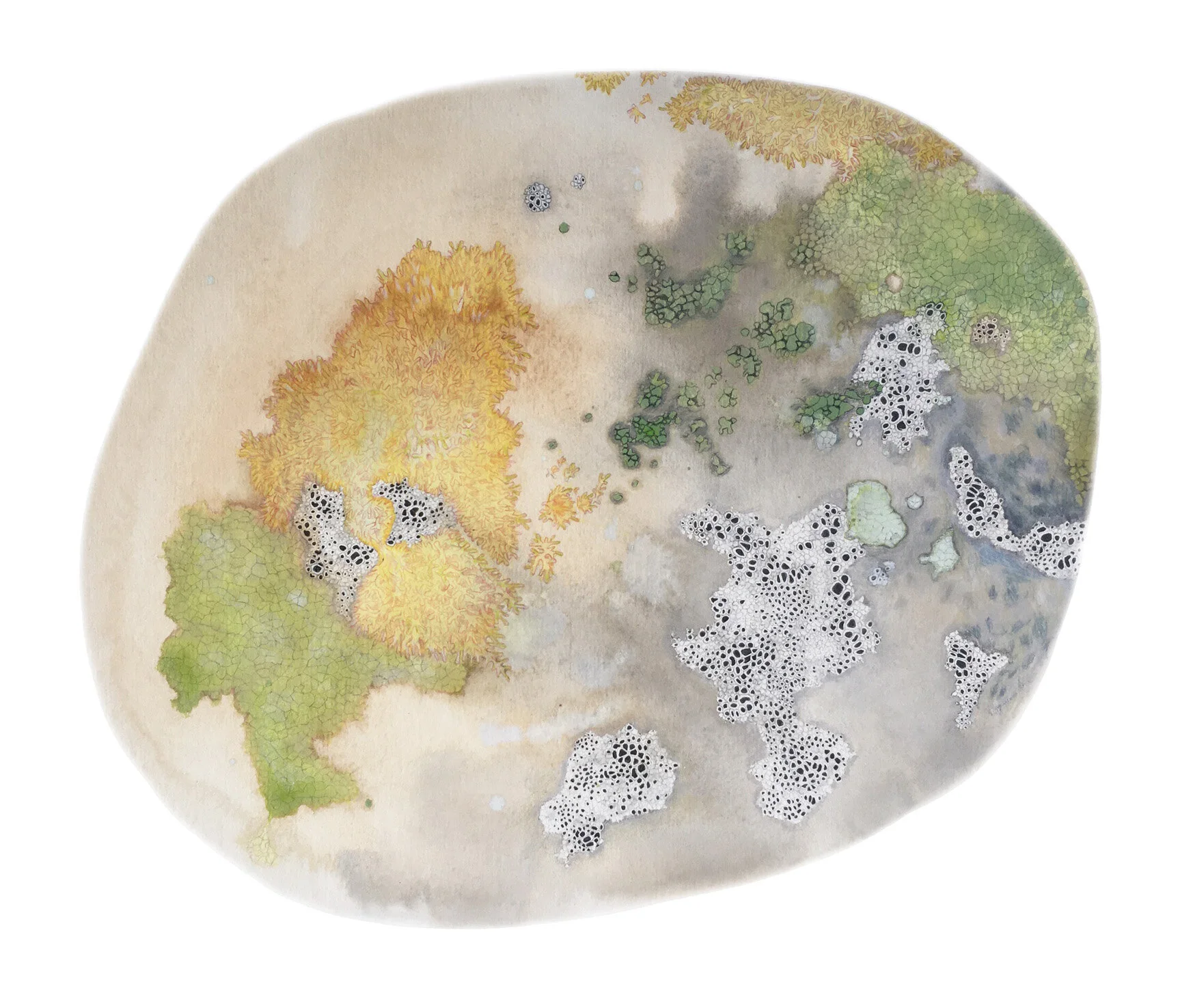 Lichen Work — Rose Sanderson