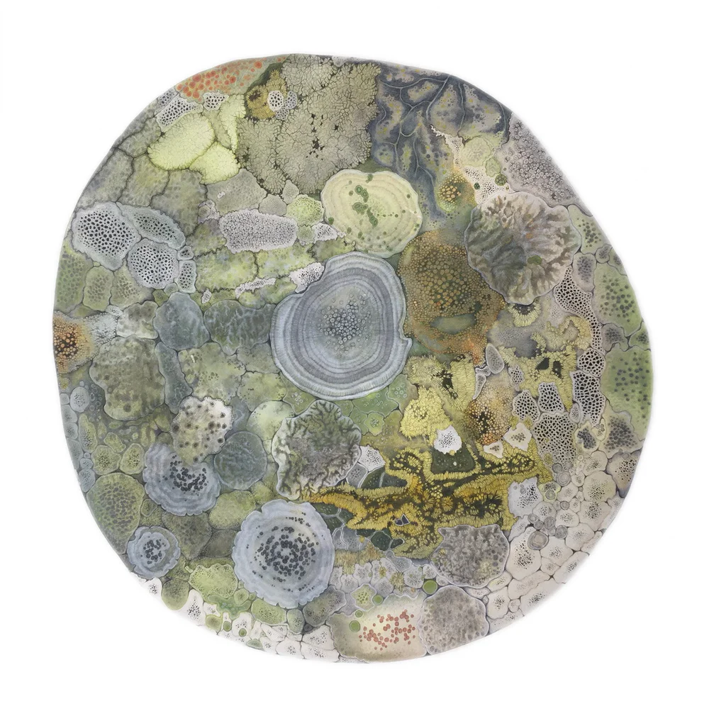 Lichen Work — Rose Sanderson