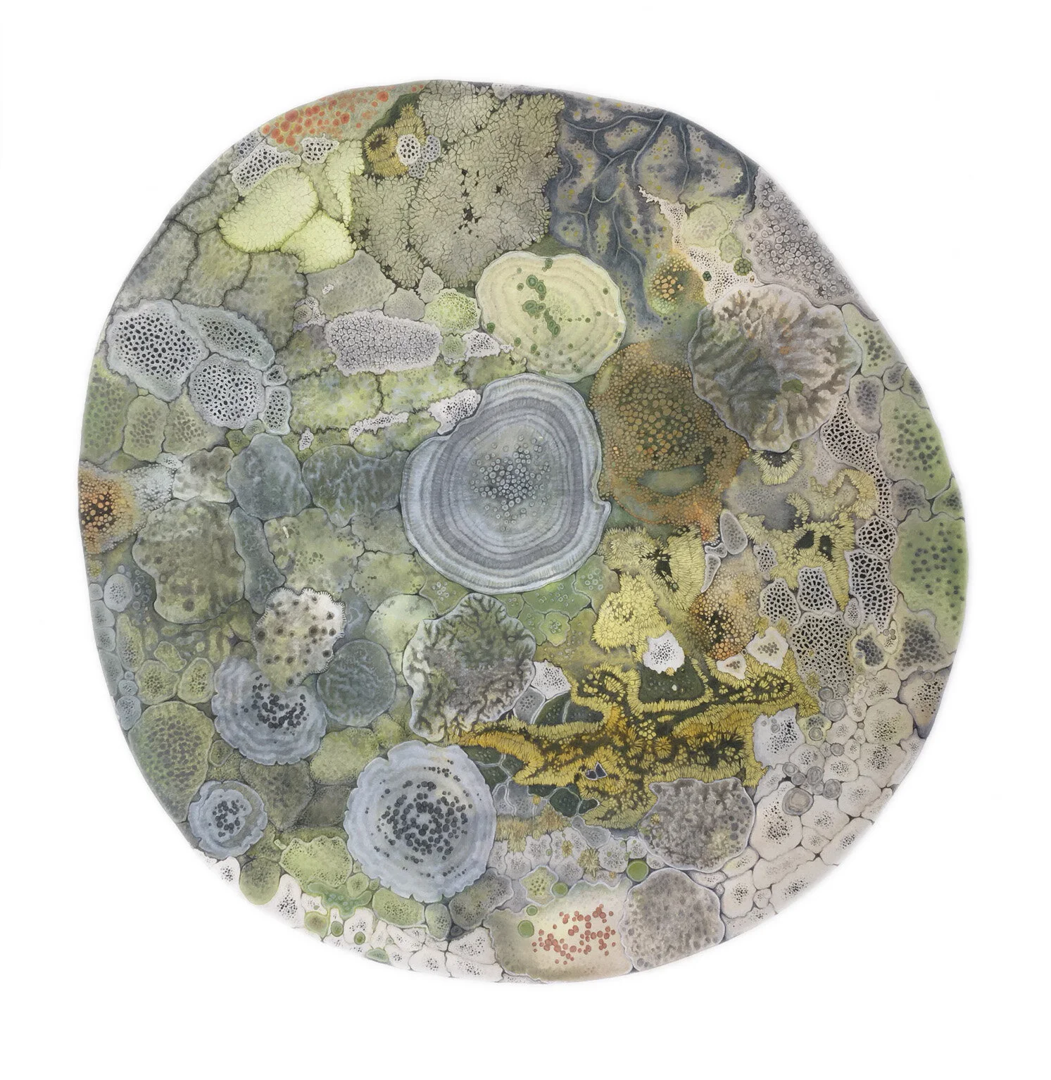 Lichen Work — Rose Sanderson