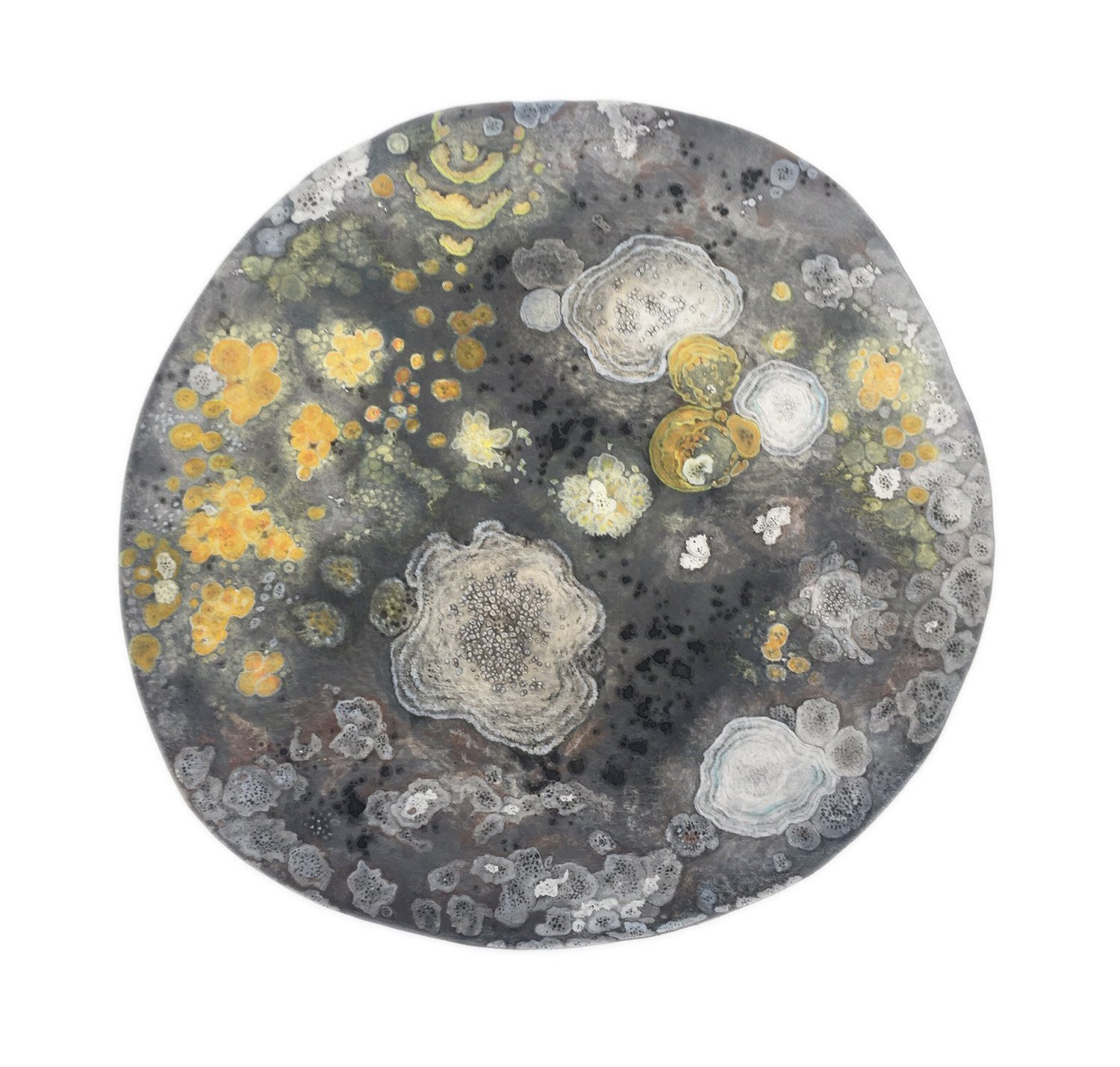 Lichen Work — Rose Sanderson