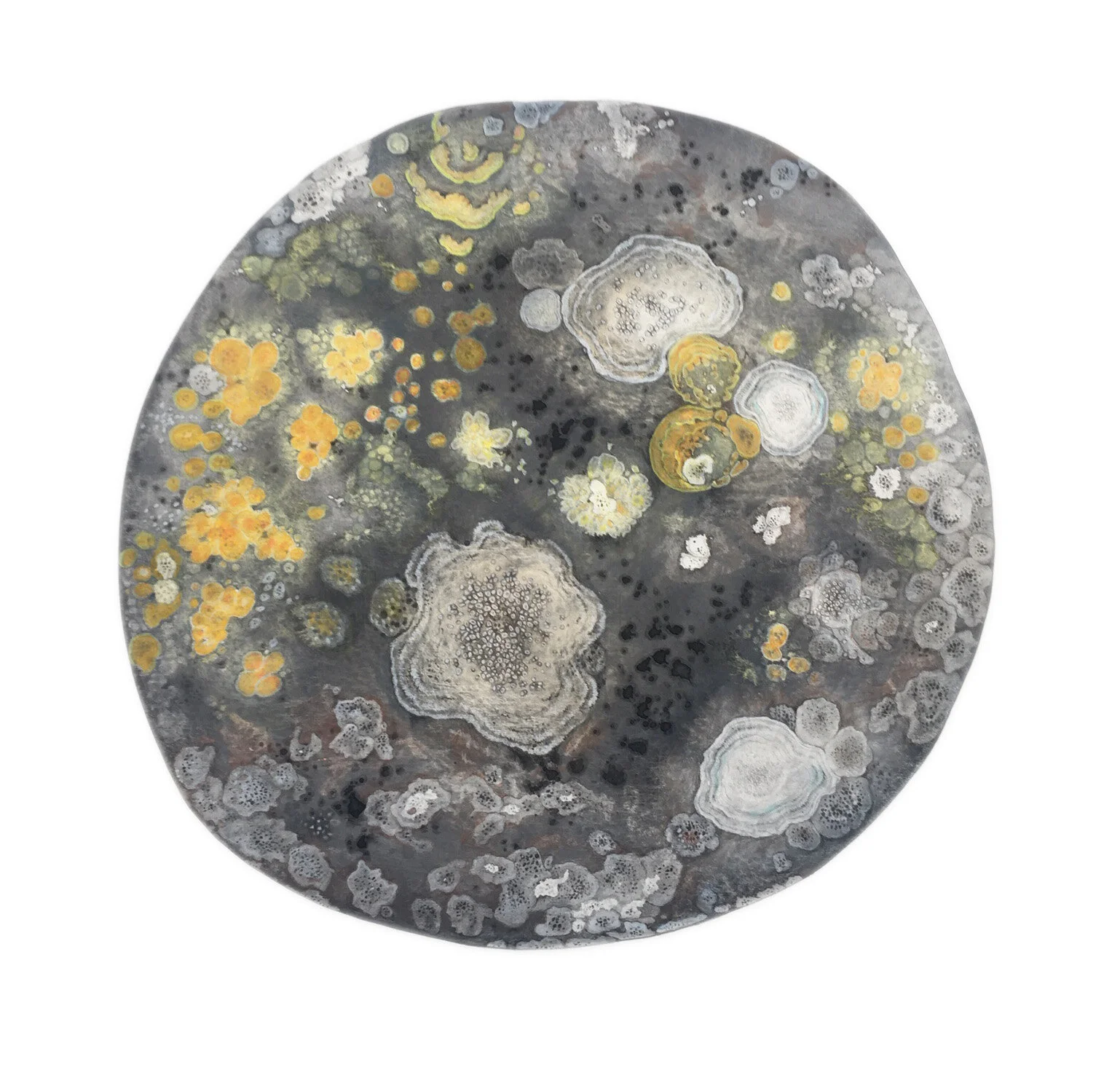 Lichen Work — Rose Sanderson