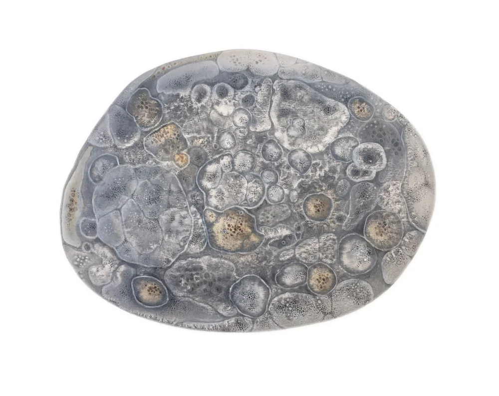 Lichen Work — Rose Sanderson
