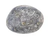 Lichen Work — Rose Sanderson