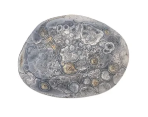 Lichen Work — Rose Sanderson
