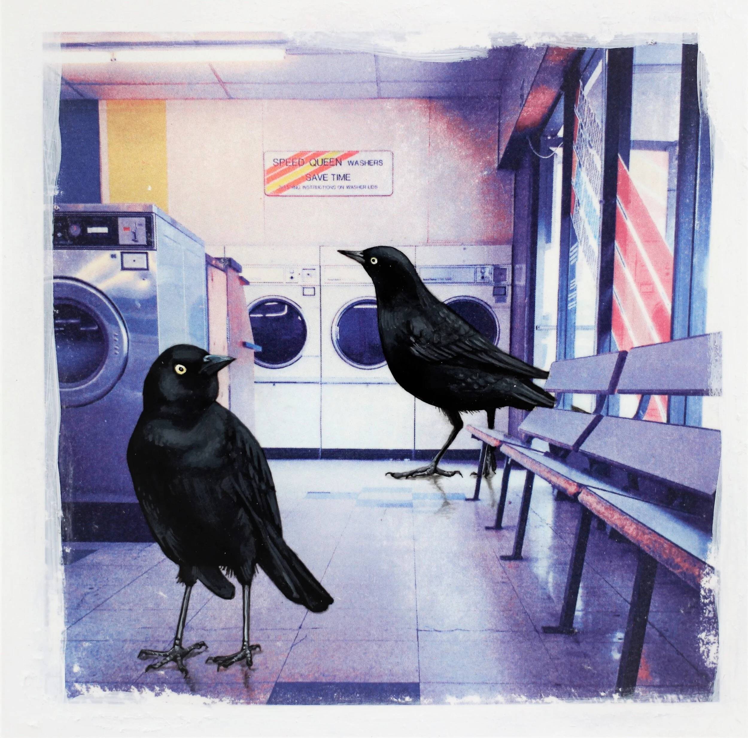 Project America — Rose Sanderson