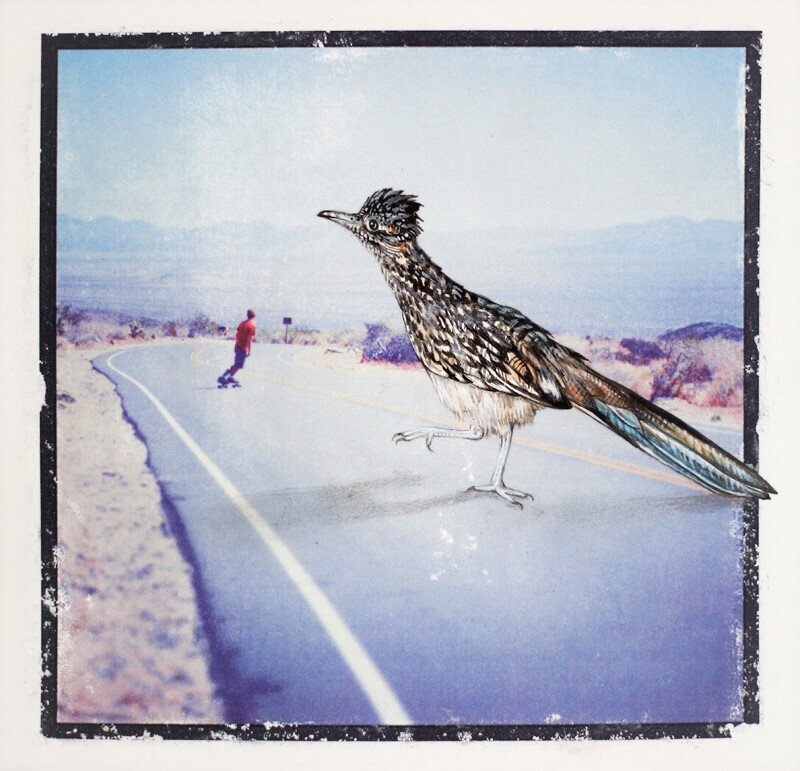 Project America — Rose Sanderson