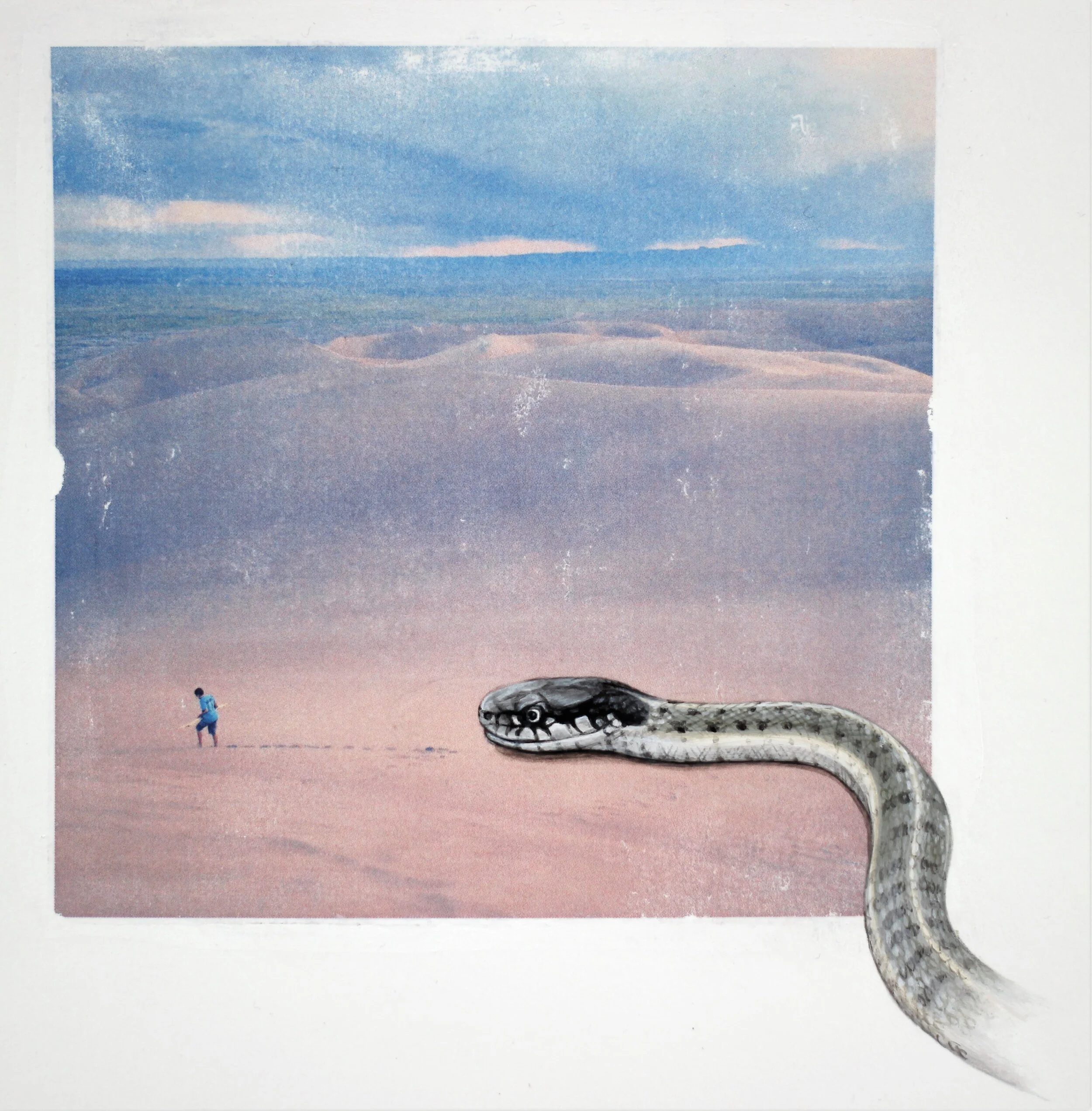 Project America — Rose Sanderson