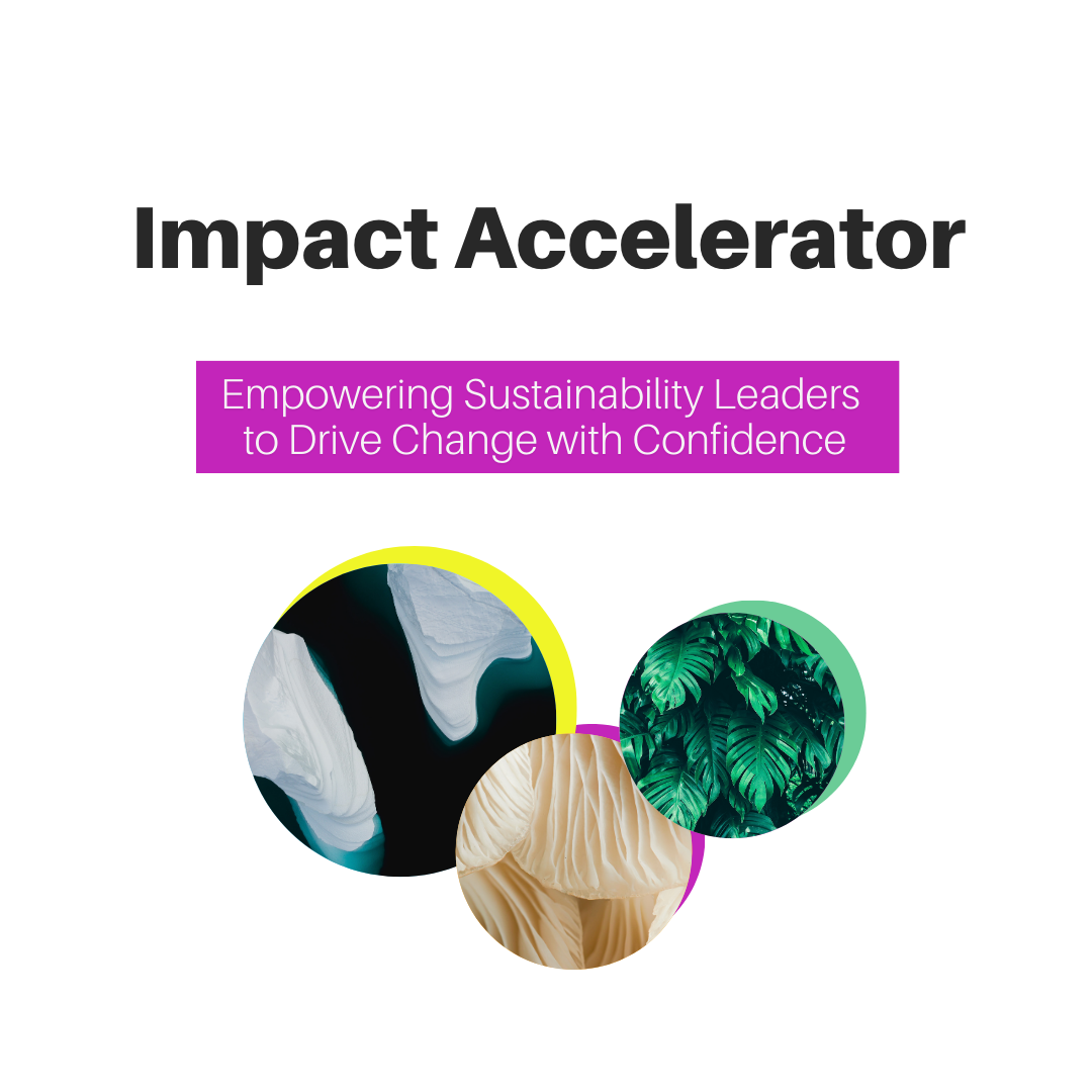 Planet One Point Five | Sustainability consultancy