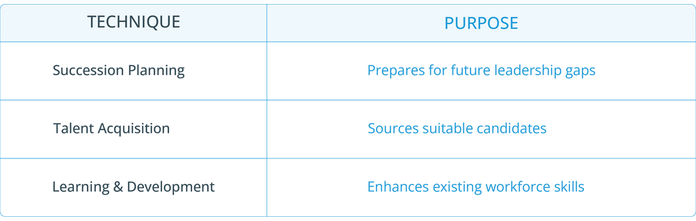 Workforce Planning: What is, Process, Strategies & Examples [2024]