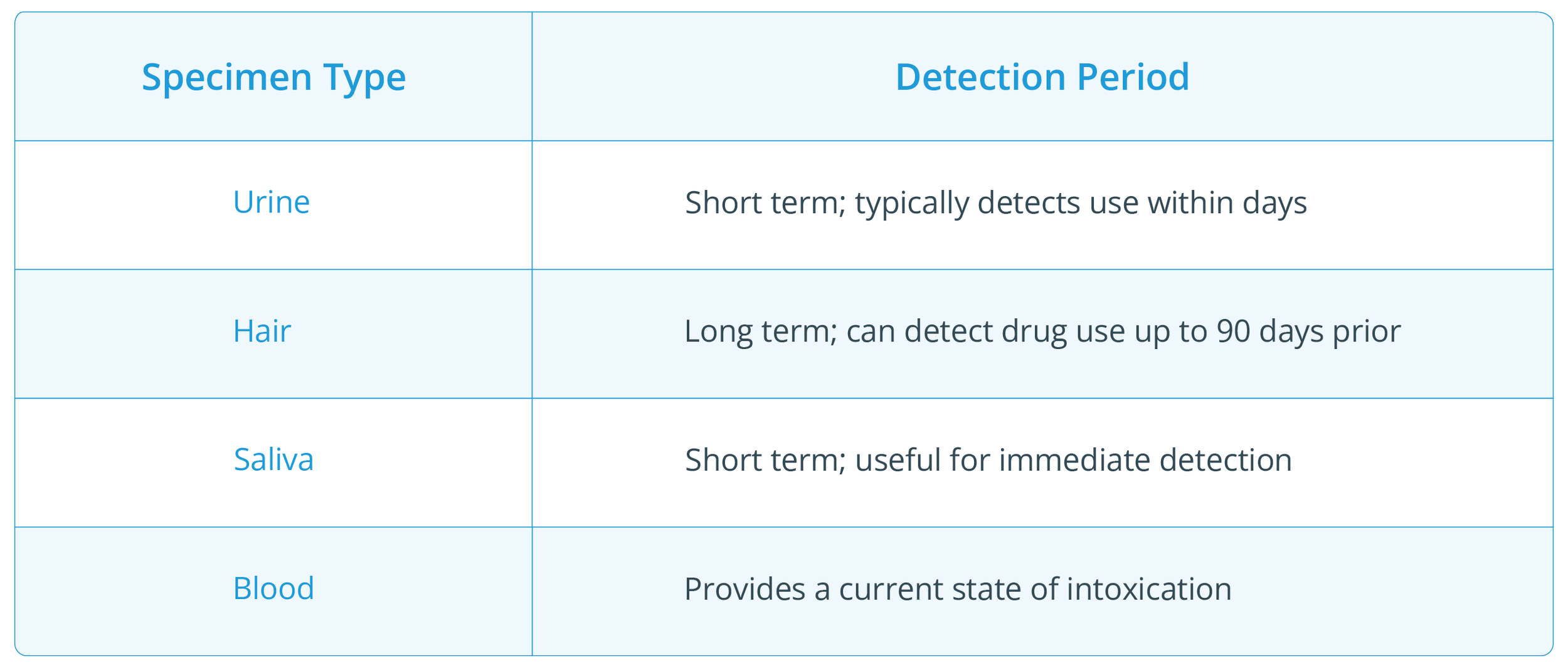 Drug Testing at Work: UK Employers Guide 2024