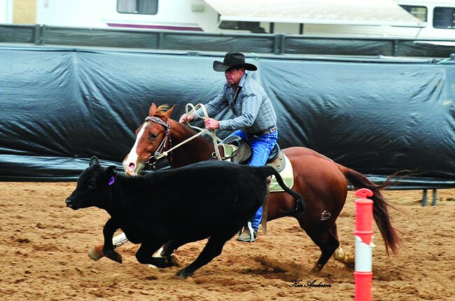 Texas Star Performance Horses