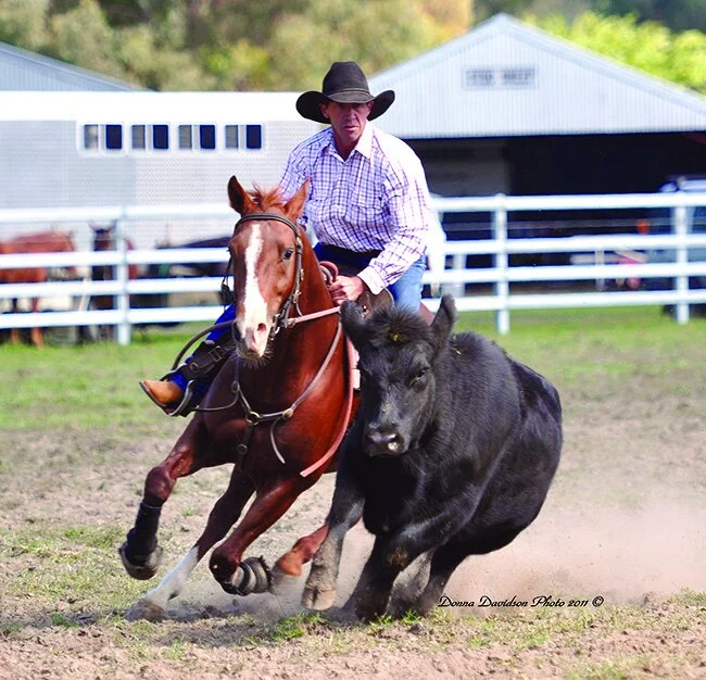Texas Star Performance Horses