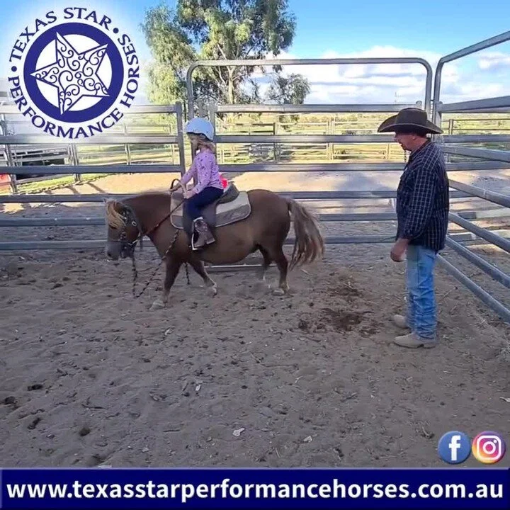 Texas Star Performance Horses