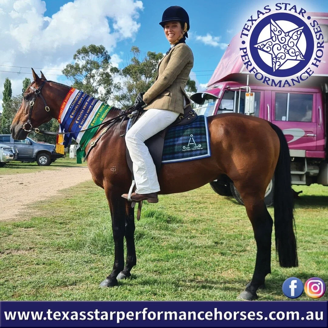 Texas Star Performance Horses