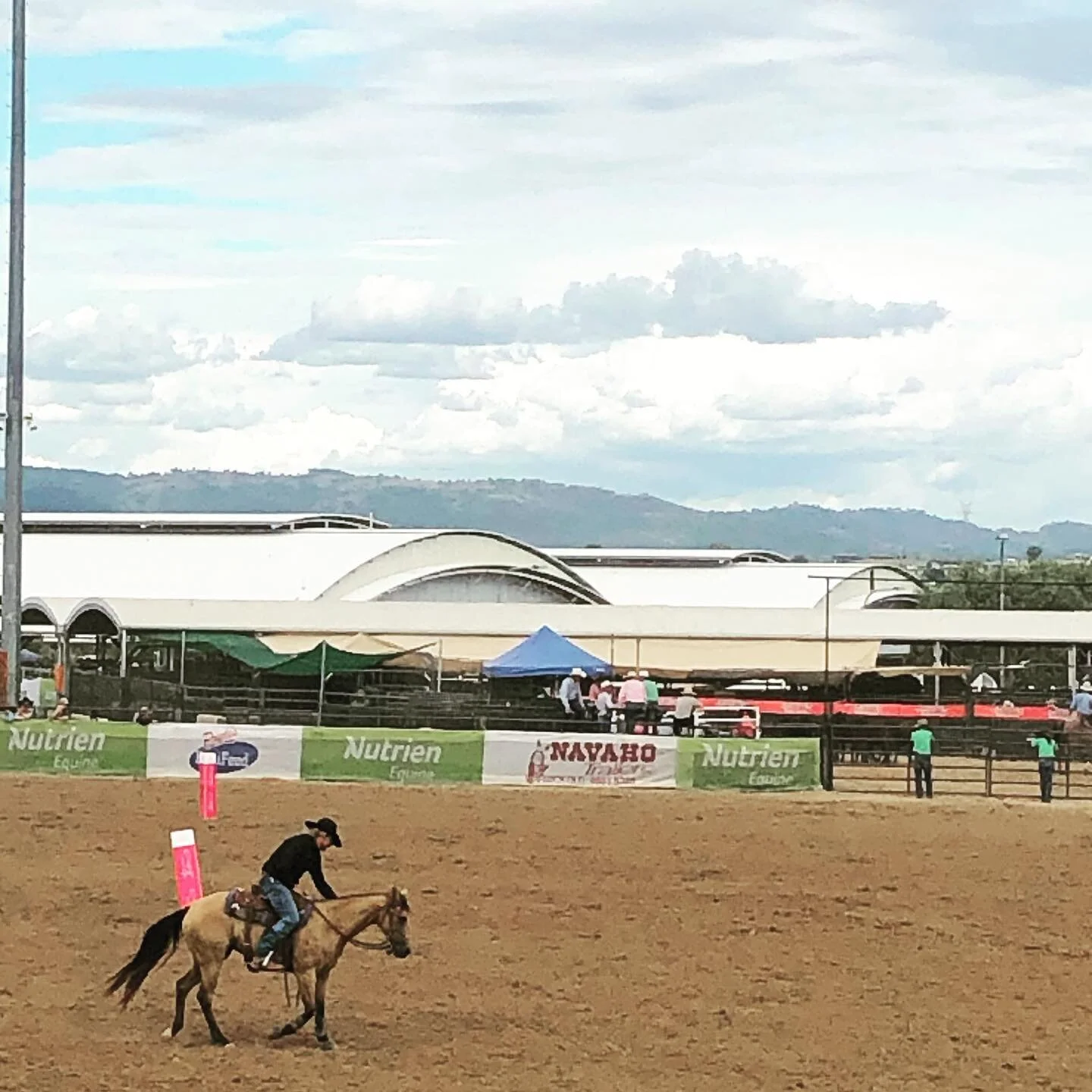 Texas Star Performance Horses