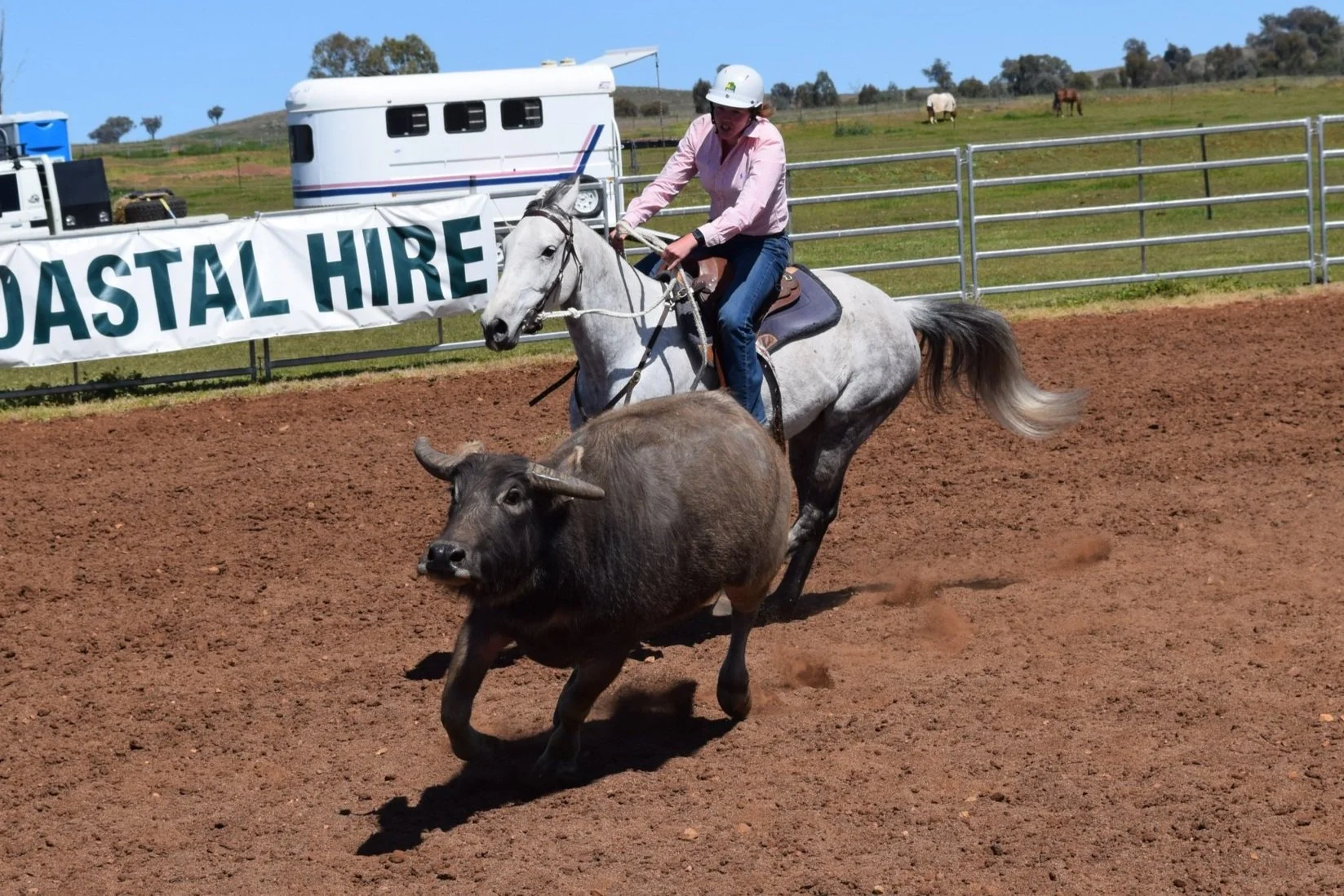 NEIL FAINT CAMPDRAFT CLINICS — Texas Star Performance Horses