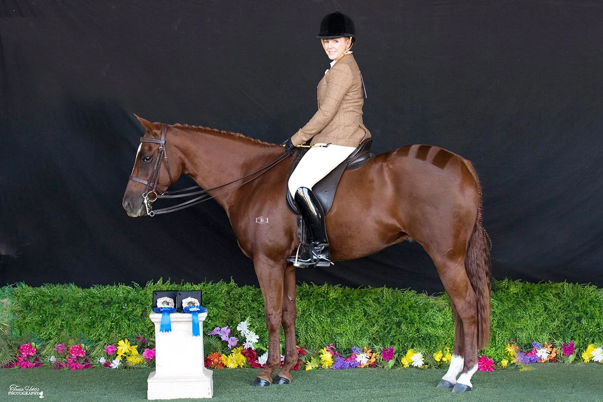 Texas Star Performance Horses