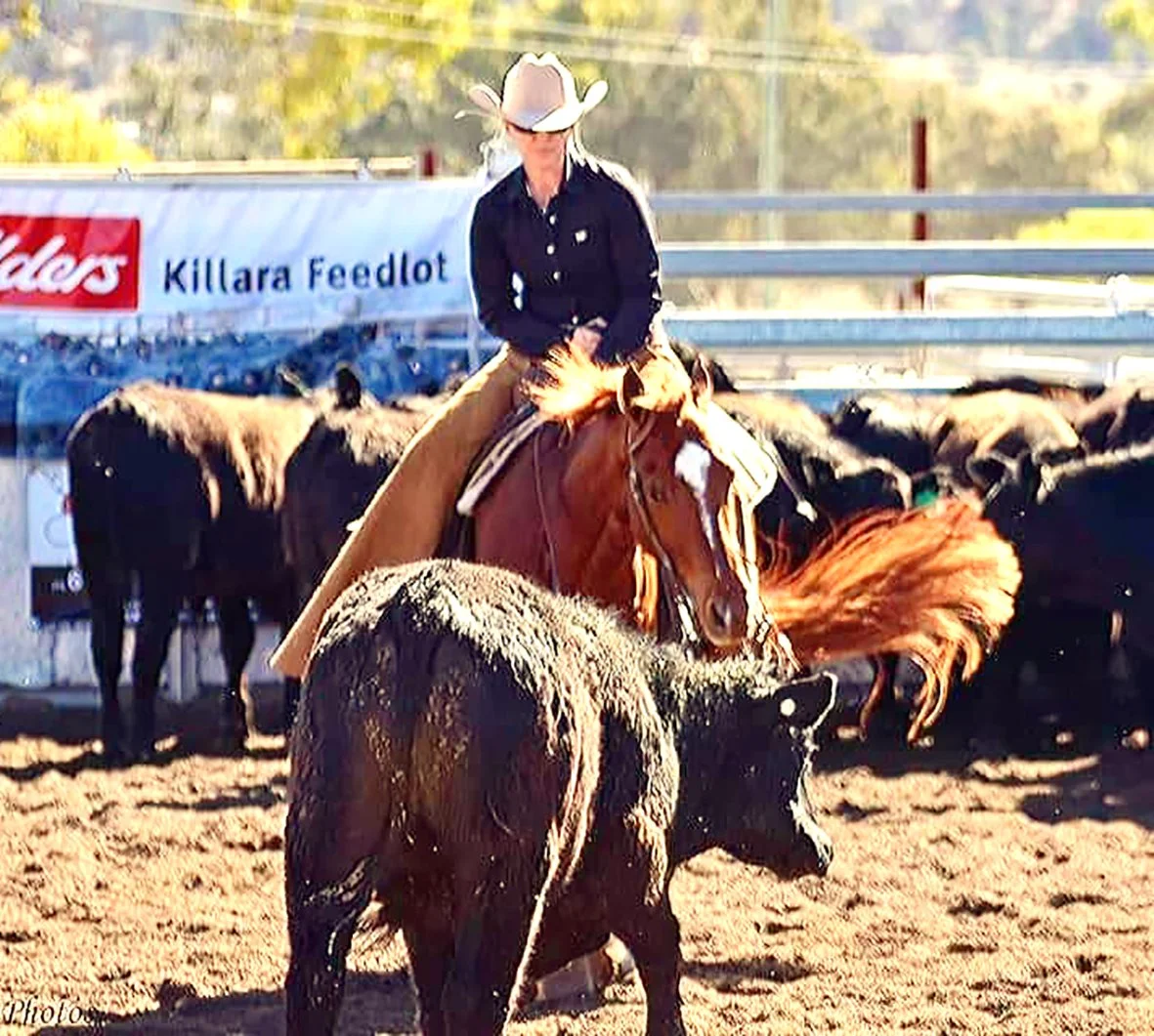 Texas Star Performance Horses