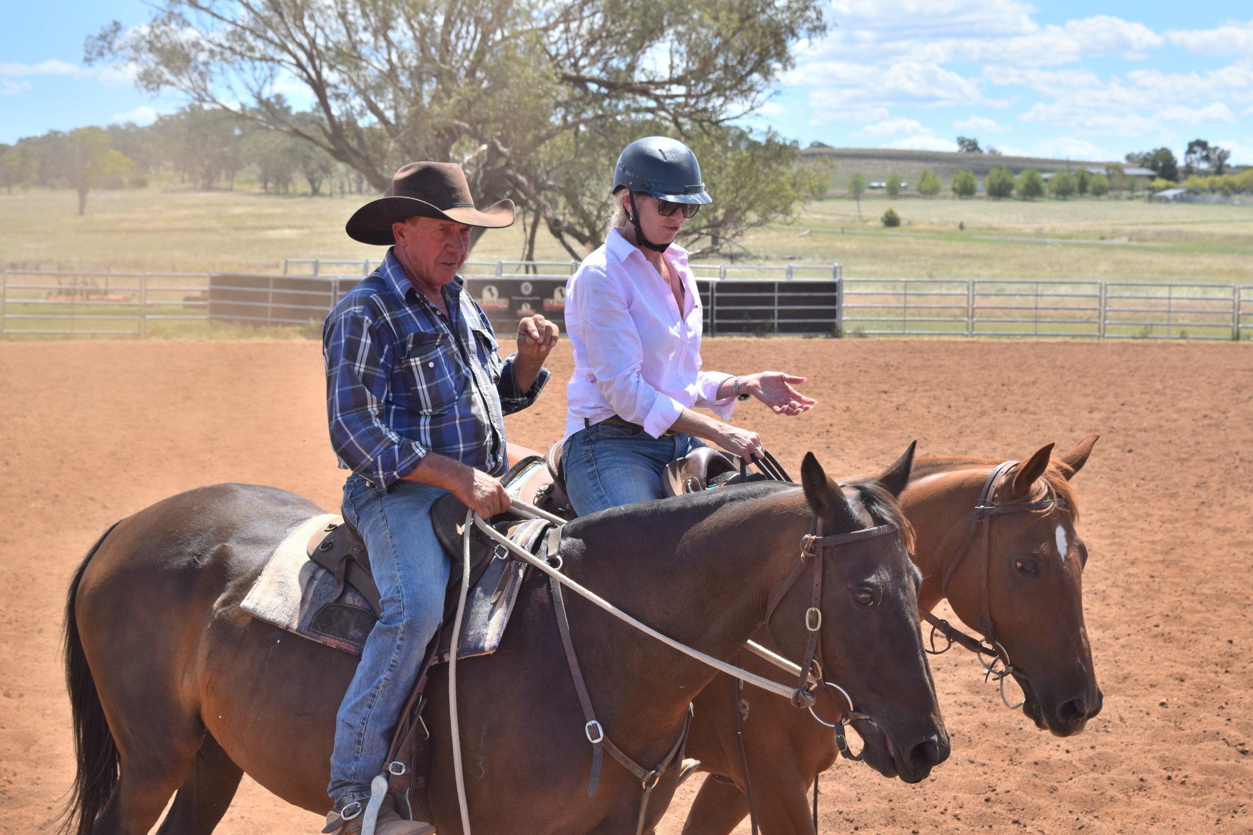 NEIL FAINT CAMPDRAFT CLINICS — Texas Star Performance Horses