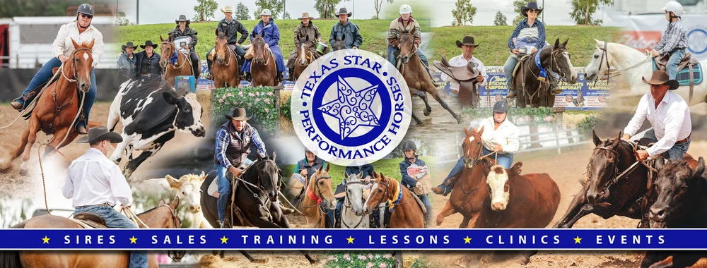 Texas Star Performance Horses