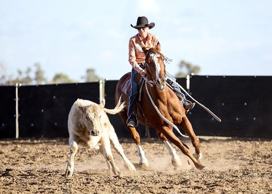 Texas Star Performance Horses