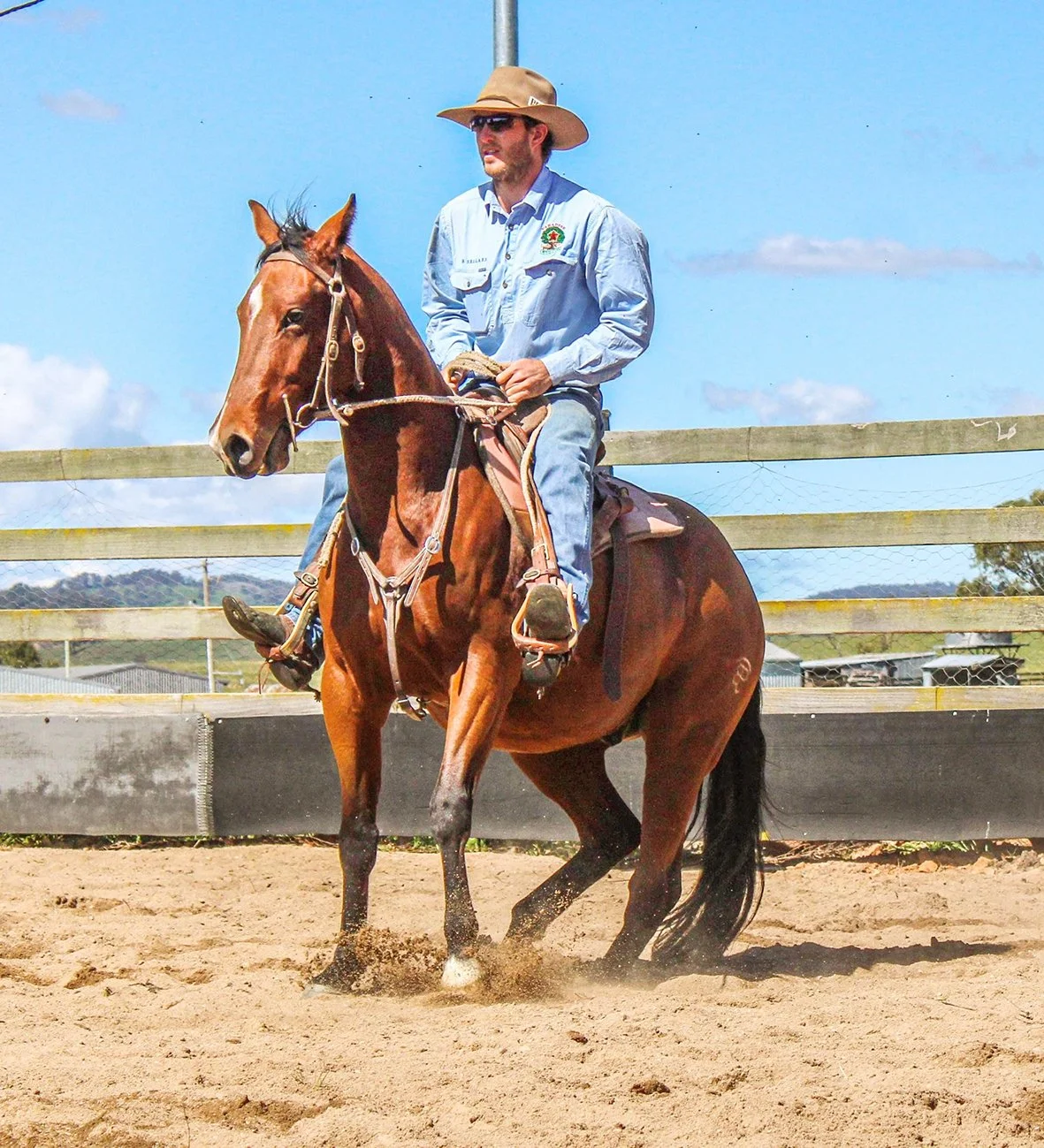 Texas Star Performance Horses