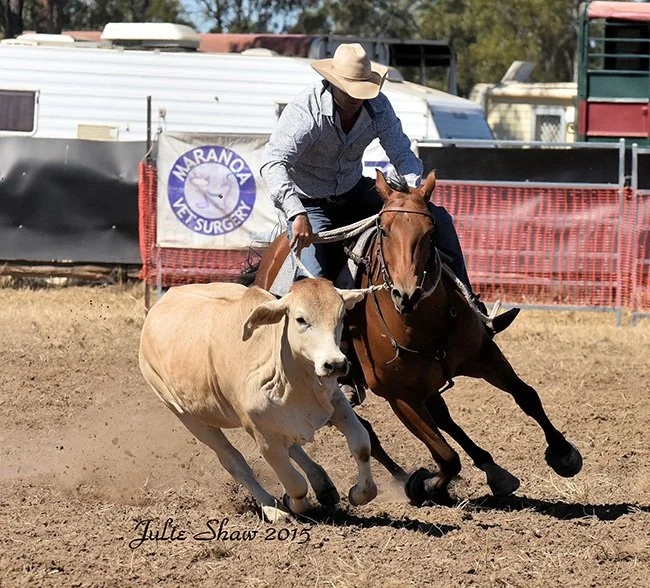 Texas Star Performance Horses