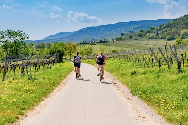 French Alsace: Colmar, Strasbourg, Dijon — Byway Travel