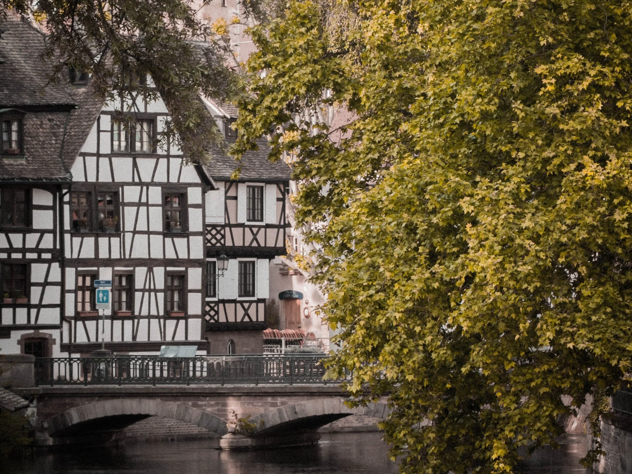 French Alsace: Colmar, Strasbourg, Dijon — Byway Travel