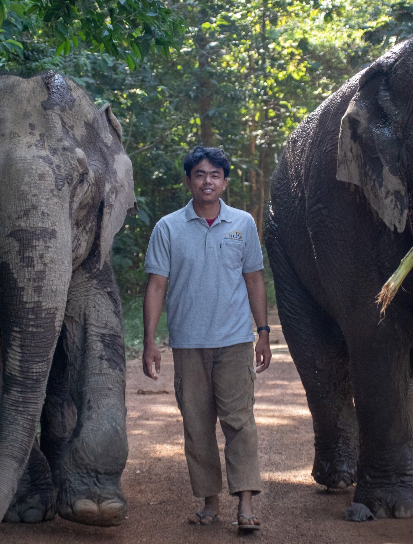 Befriend A Mahout — Boon Lott's Elephant Sanctuary
