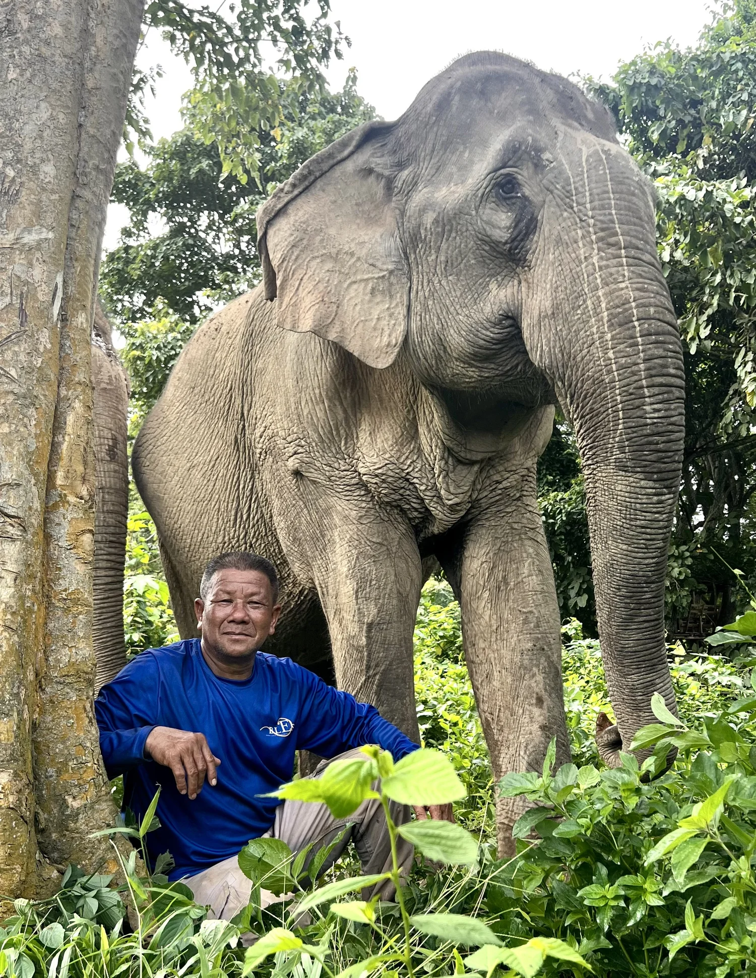 Meet Our Family — Boon Lott's Elephant Sanctuary