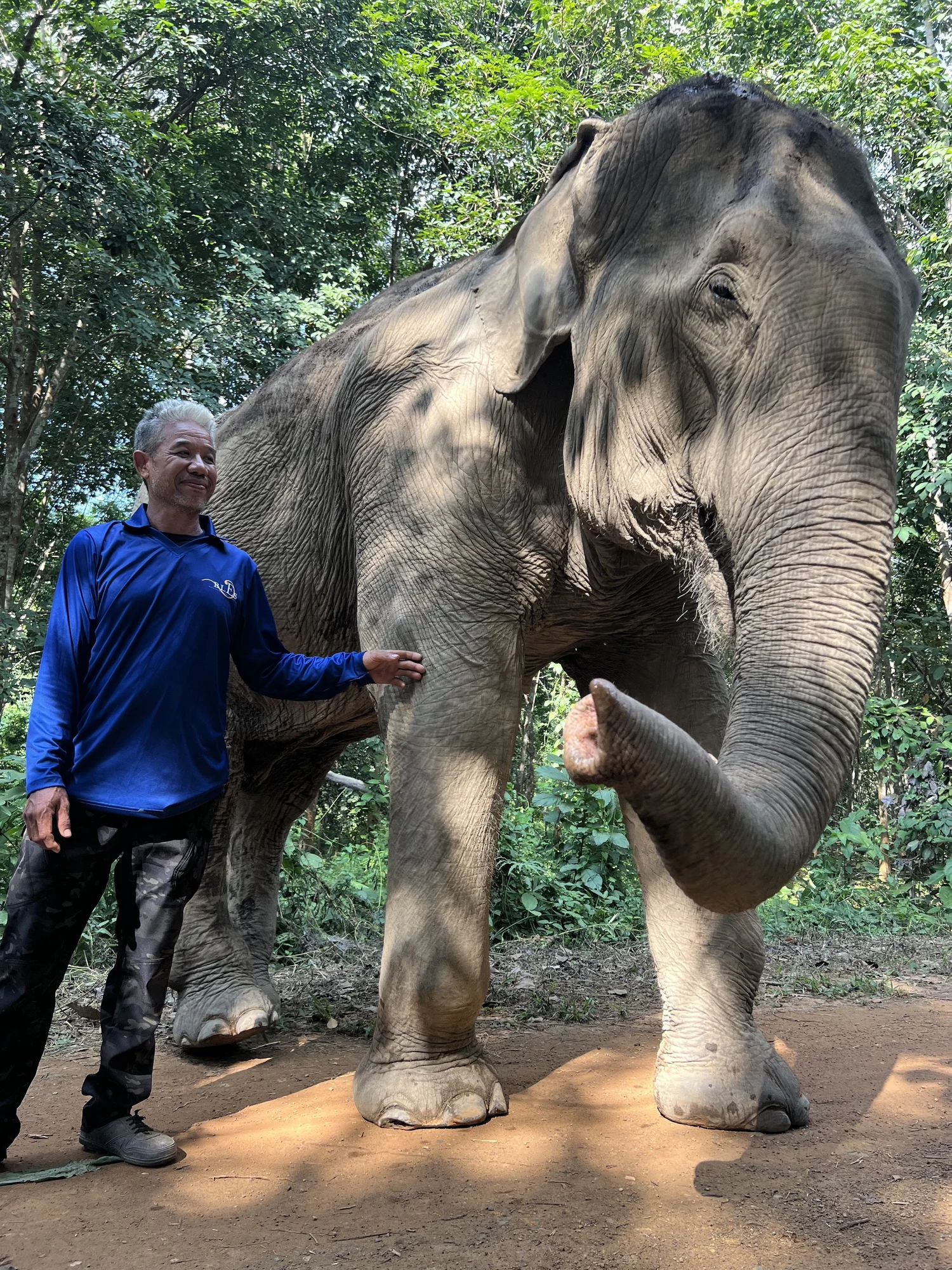 Meet Our Family — Boon Lott's Elephant Sanctuary