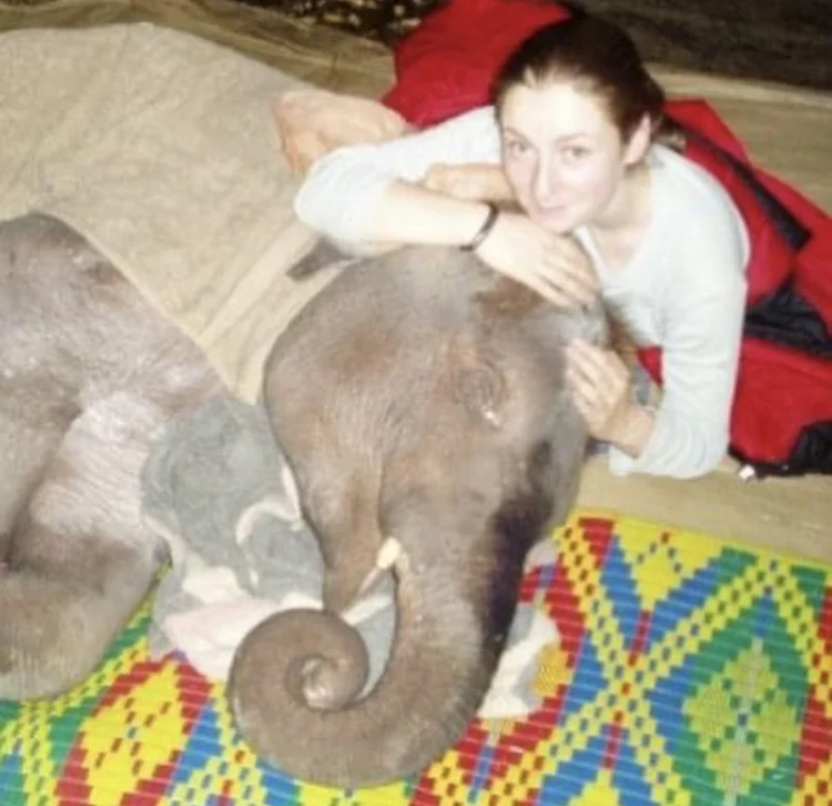 How We Got Started — Boon Lott's Elephant Sanctuary