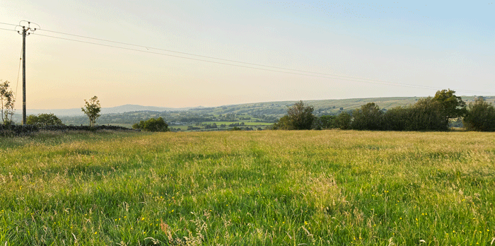 GRAZING & SERVICES — Padwick Farm