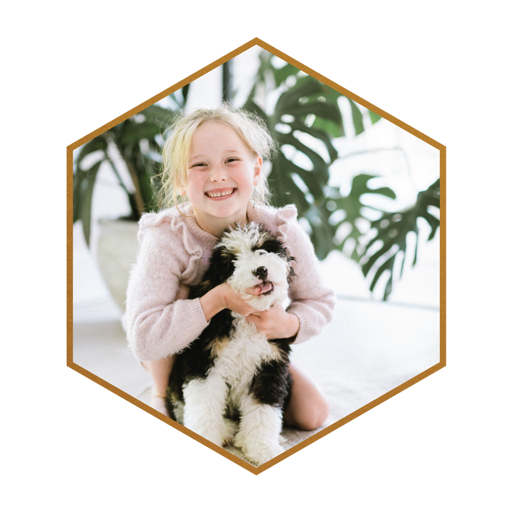 Blue-Eyed Doodles — STOKESHIRE