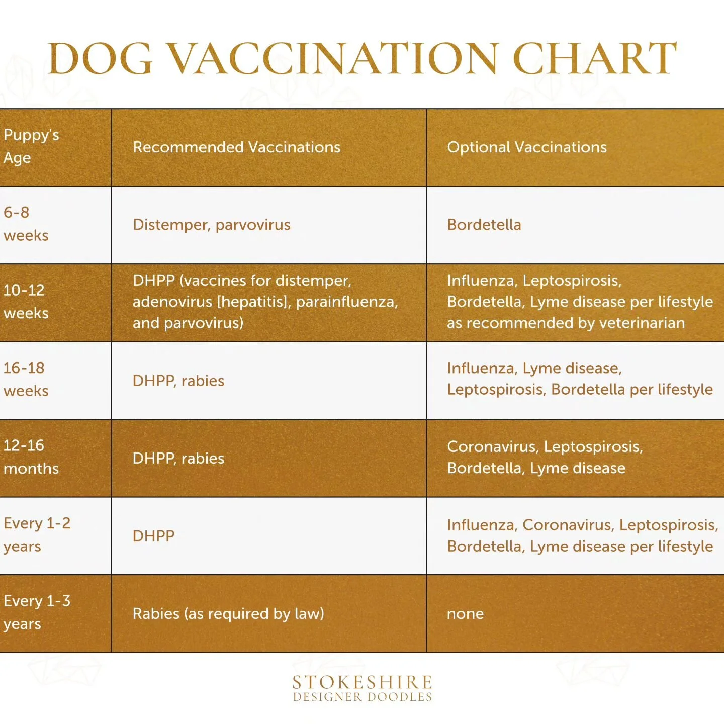 Bernese Aussie Australian Mountain Dog — STOKESHIRE DESIGNER DOODLES ...