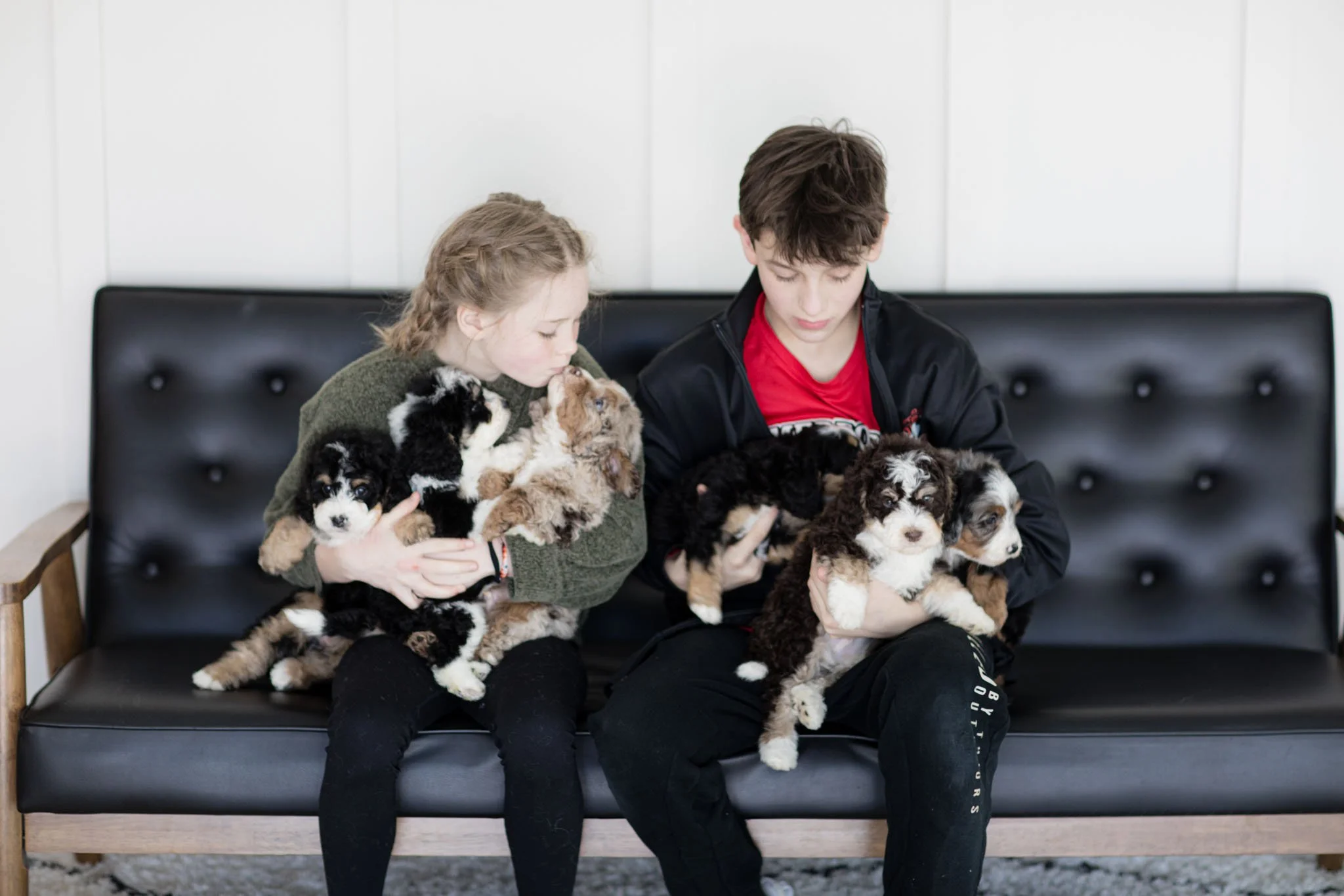 Best Doodle Breeds for Families with Kids in 2025: A Guide from ...