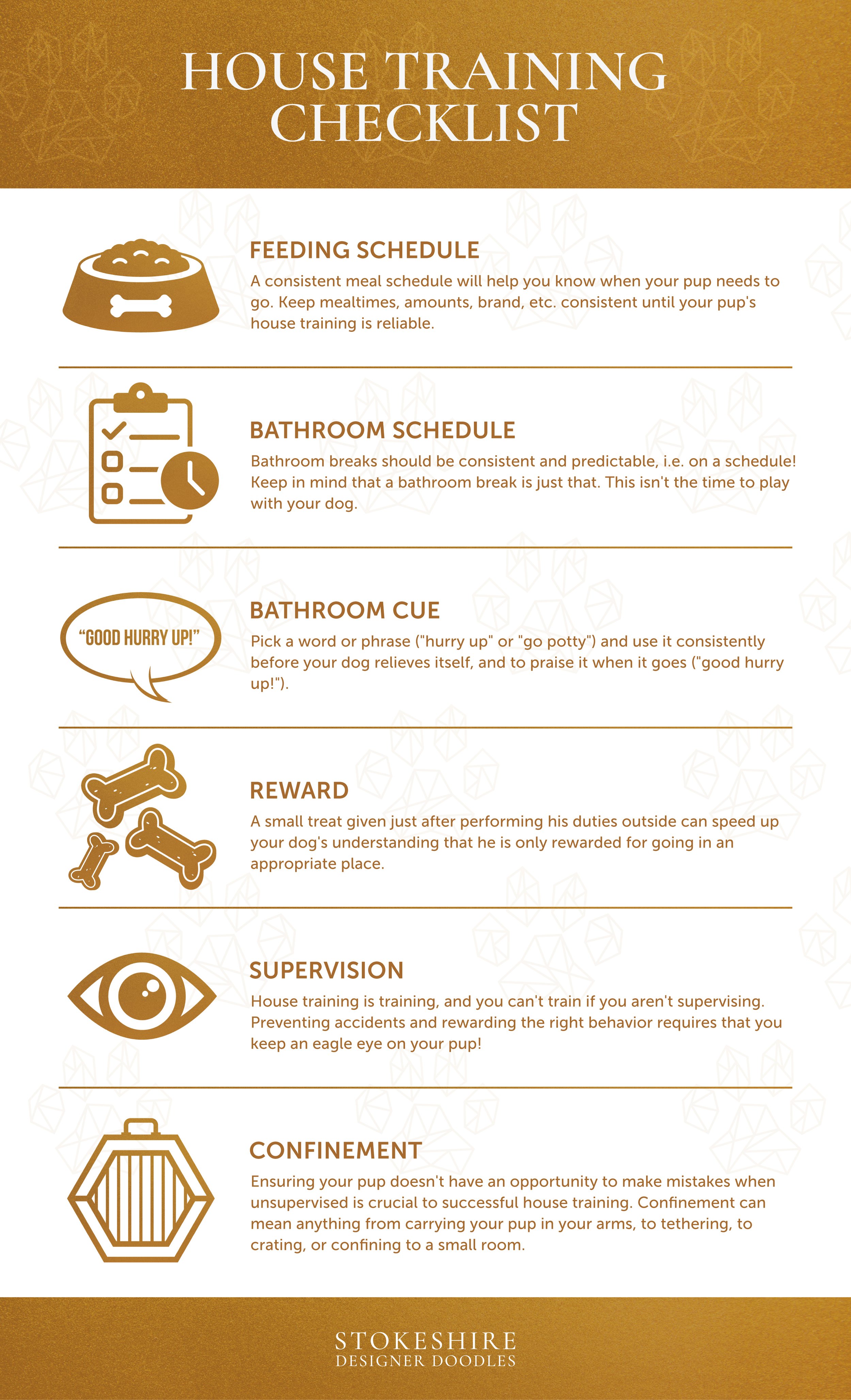 Dog Pooping in Crate? 6 Calming Fixes That Work Fast — STOKESHIRE