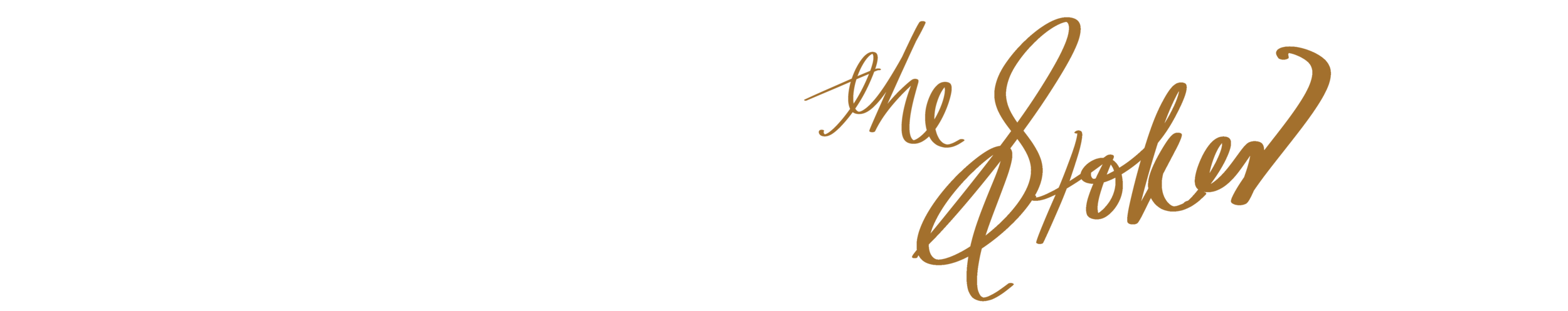 North Central Wisconsin Doodle Puppy Breeders — STOKESHIRE
