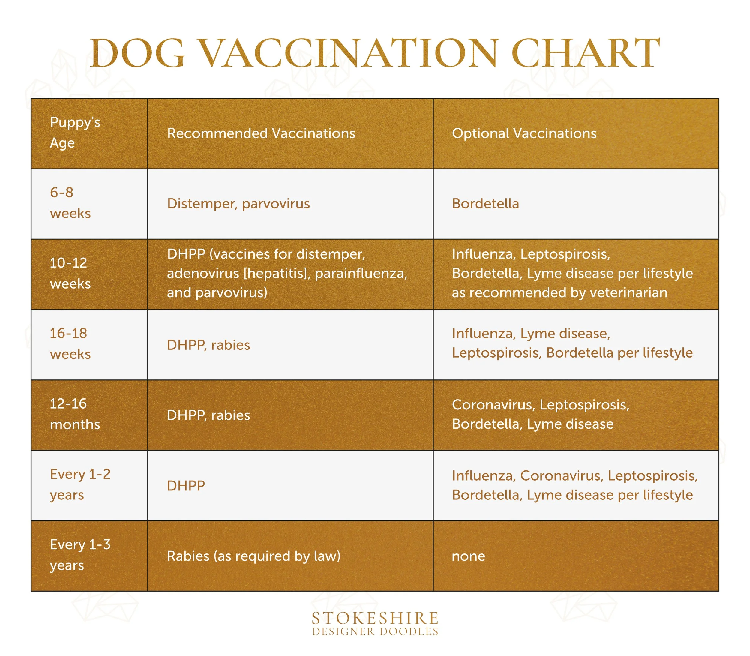 How to Keep Your Doodle Puppy Safe Before They are Fully Vaccinated ...
