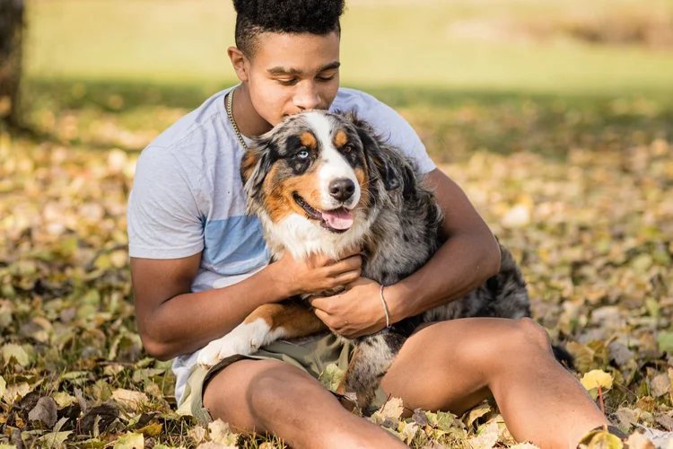 How Designer Breeders Are Reducing COI for Healthier Dogs – The Tale of ...