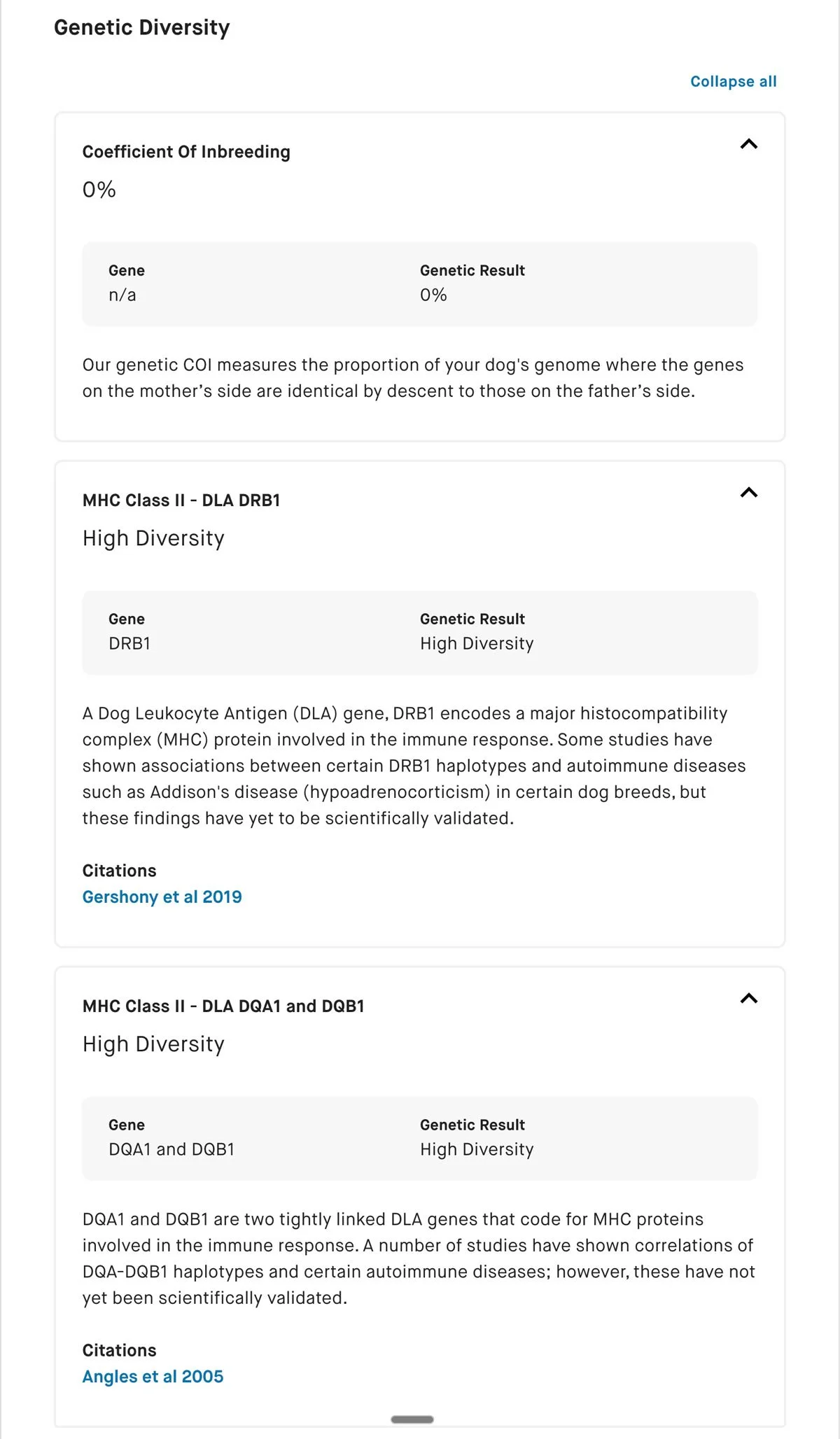 Genetic Diversity in Dogs: The Science of Luxury Breeding — STOKESHIRE