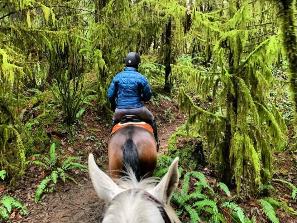 Polestar Farm - Three Day Event Facility and Training