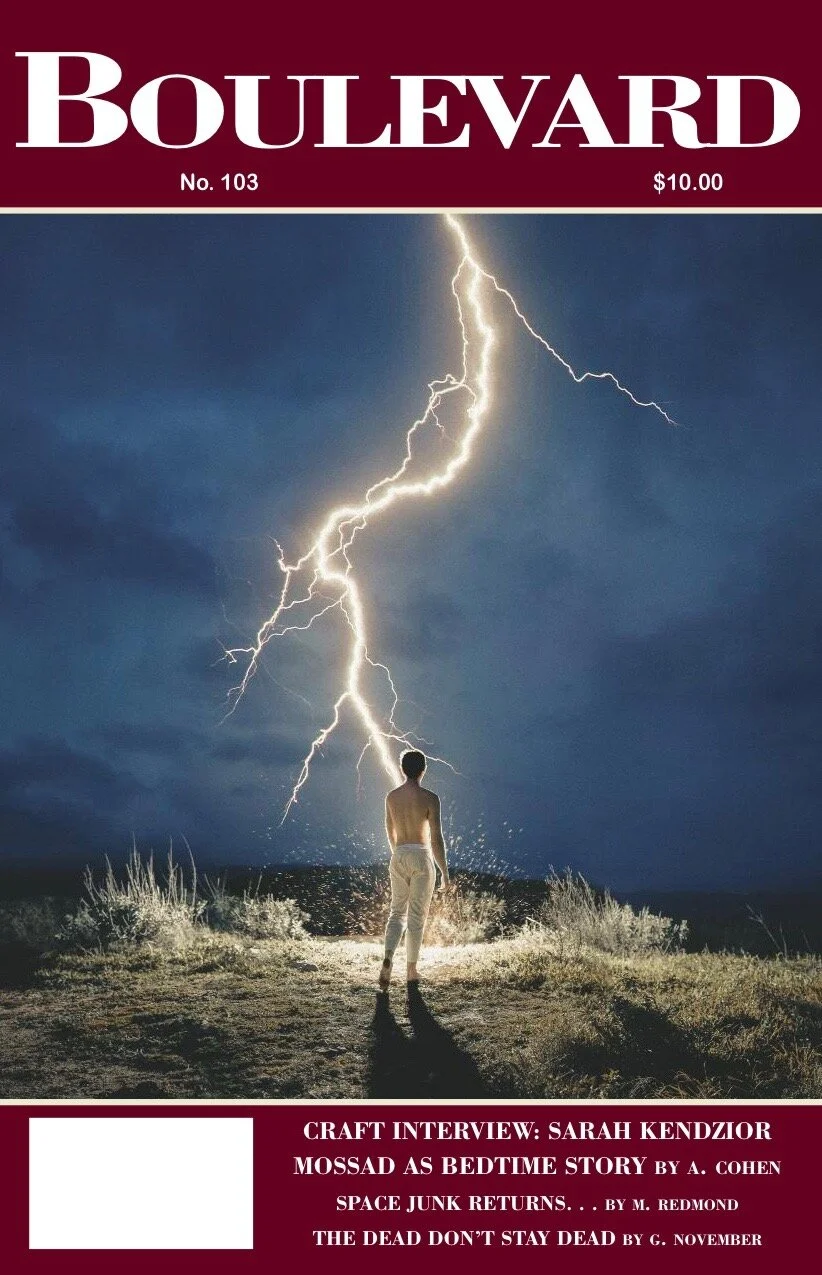 digital subscriptions — Boulevard