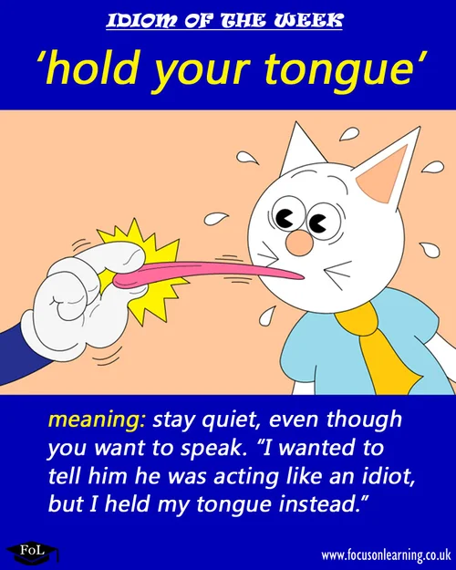 Illustrated Idioms - FoL English - All-in-one independent English ...