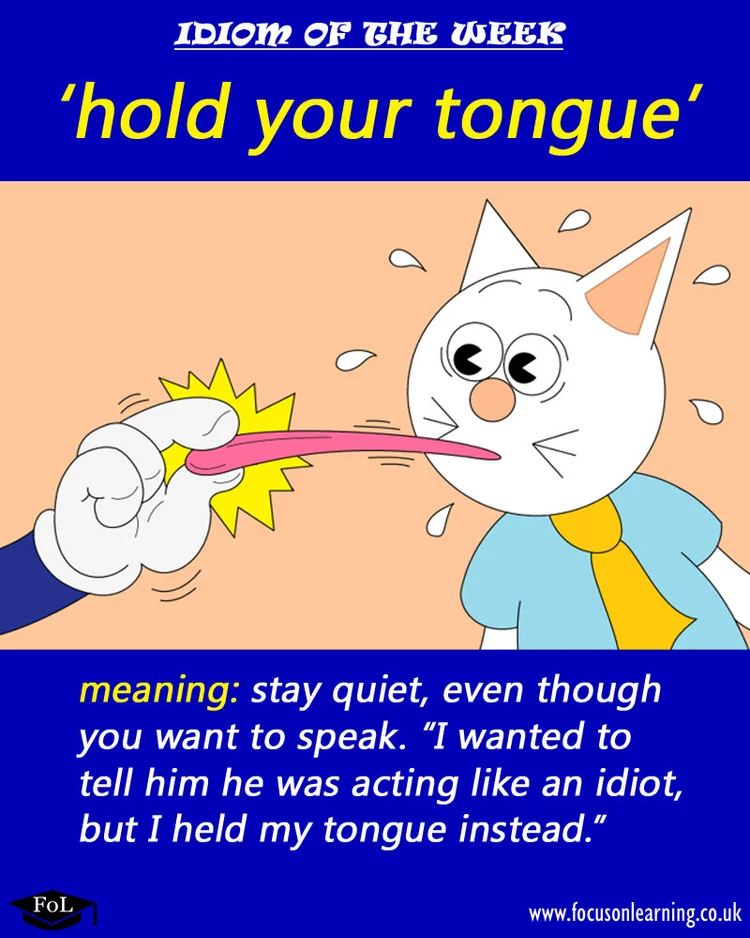 Illustrated Idioms - FoL English - All-in-one independent English ...