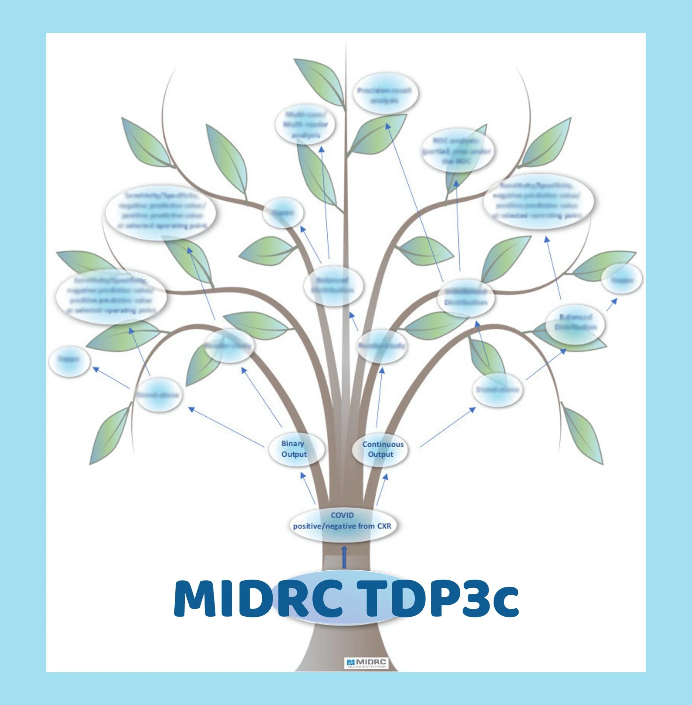 Performance Metrics Decision Tree — MIDRC