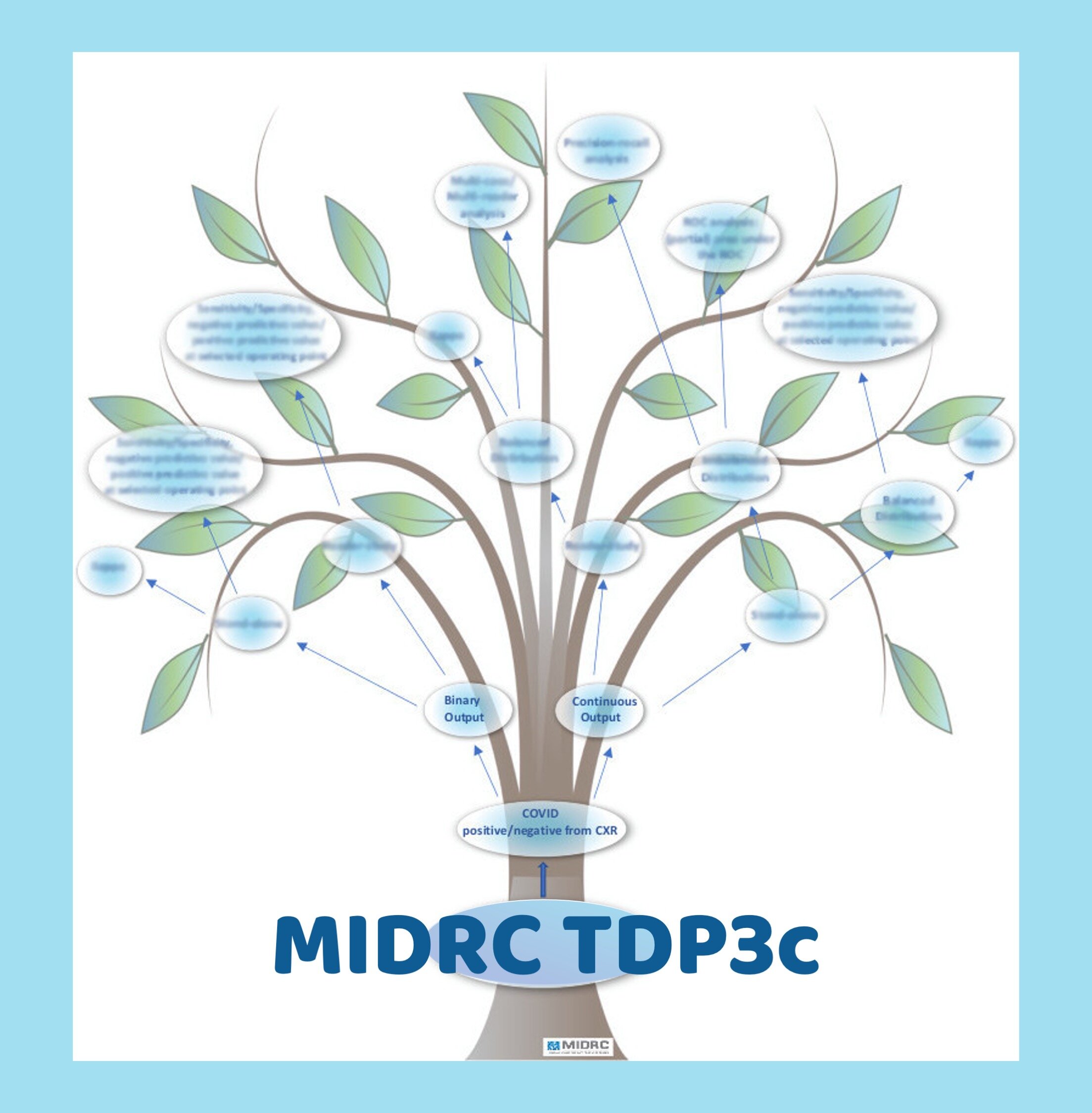 Performance Metrics Decision Tree — MIDRC