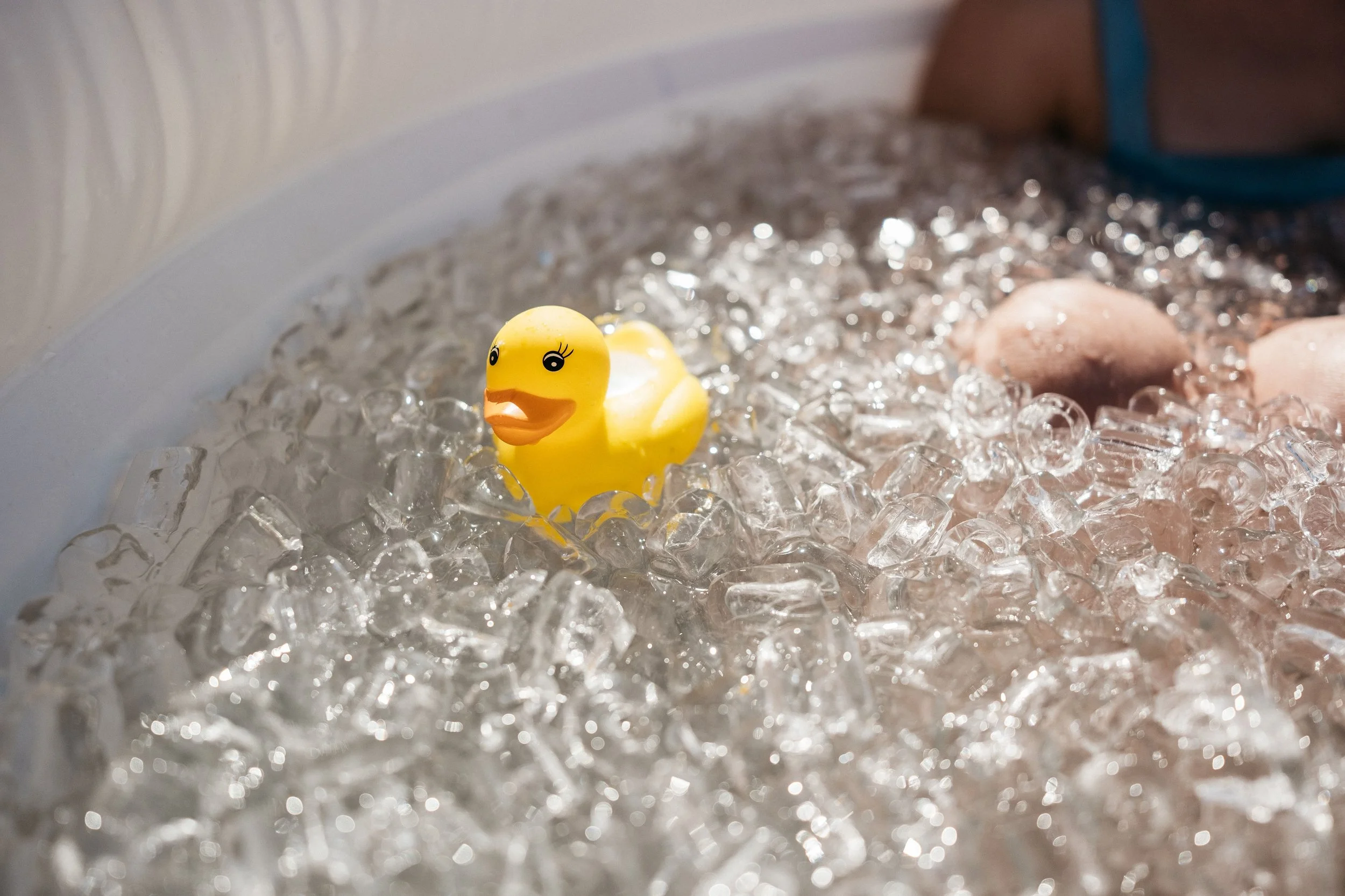 DIPN GALLERY — COLD NIPS