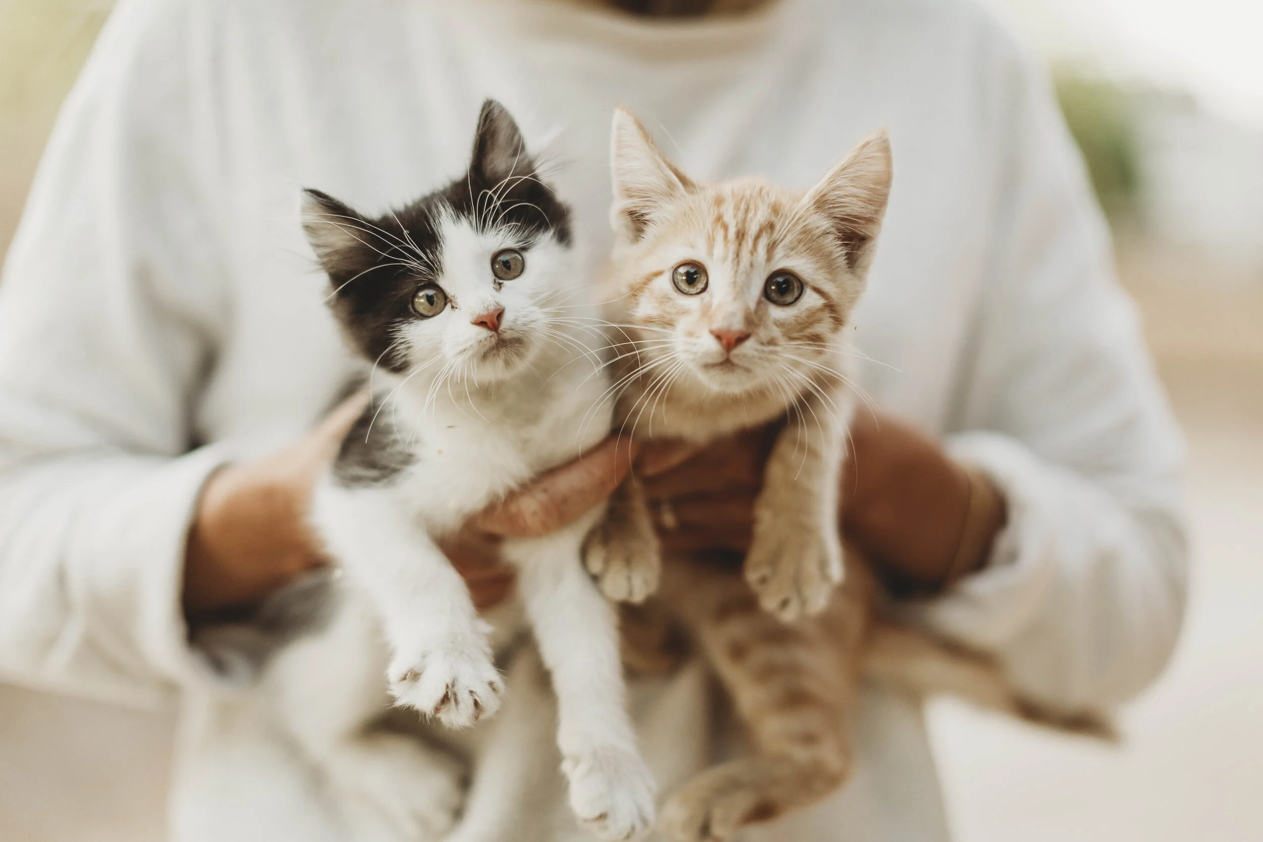 The Farm - Our Story — FULL MOON FARMS